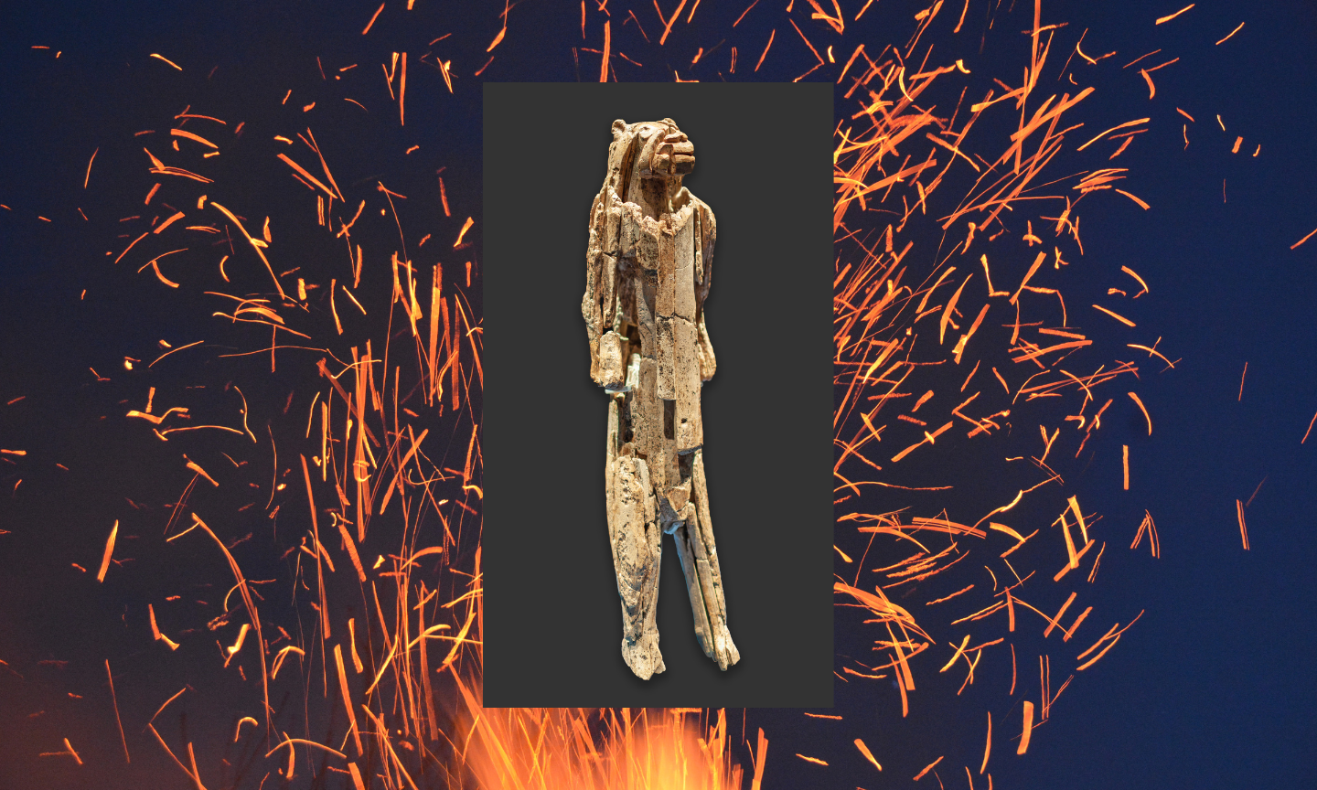 Zoomorph - The Bangalore Review